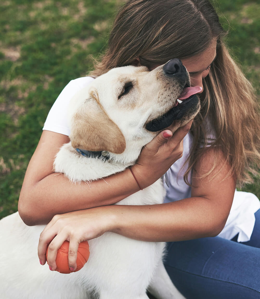 McAndrews Veterinary Clinic And Immediate Care | Best Veterinary Clinic ...